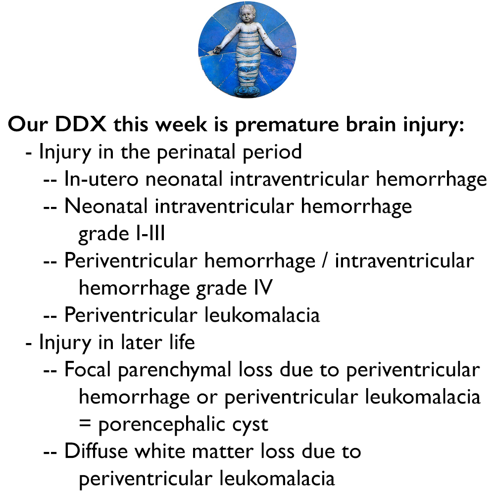 Our DDX For This Week Is | Pediatric Radiology Case | Pediatric Imaging ...